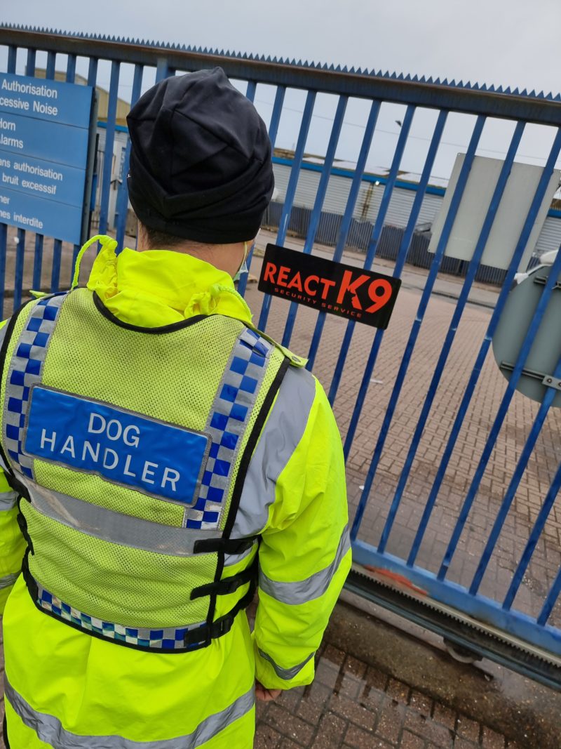 What Does It Take To Be A Qualified K9 Security Dog Handler? | React K9 ...